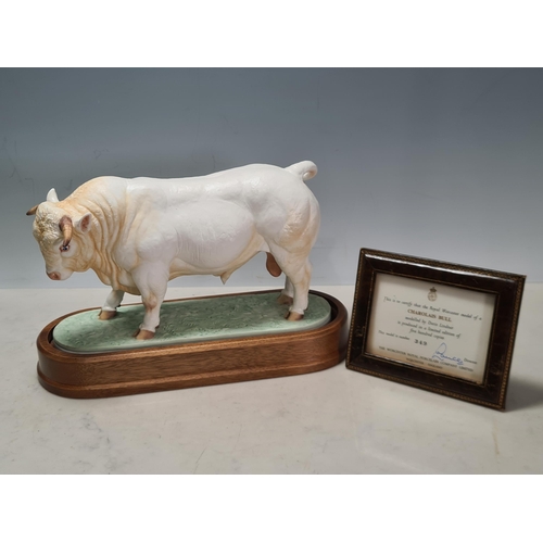 A Royal Worcester Model of a Charolais Bull modelled by Doris Linder ...