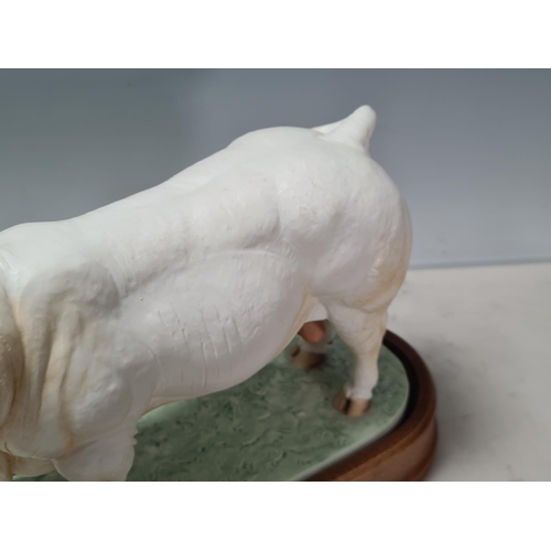 A Royal Worcester Model of a Charolais Bull modelled by Doris Linder ...
