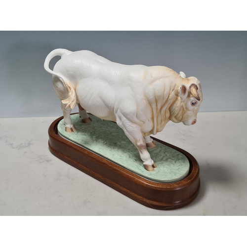 A Royal Worcester Model of a Charolais Bull modelled by Doris Linder ...