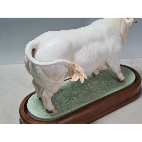 A Royal Worcester Model of a Charolais Bull modelled by Doris Linder ...