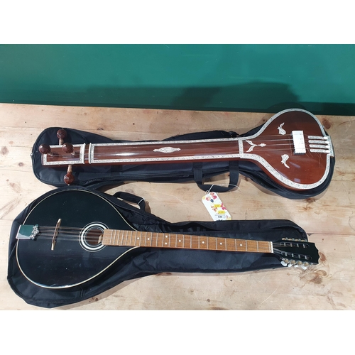 A long neck mandolin and a Tambura, (R8).