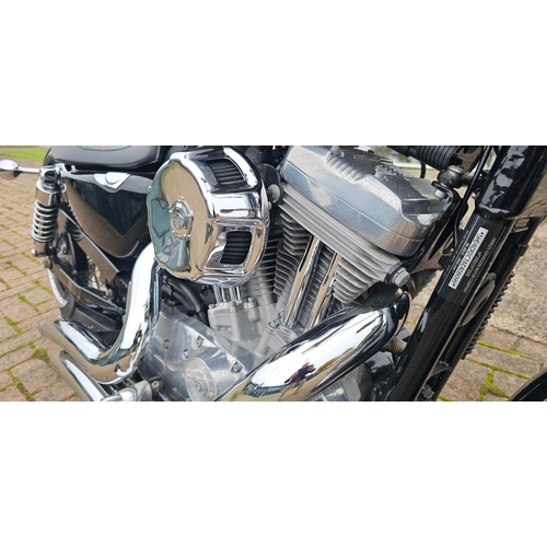 2009 Harley Davidson XL 883L Sportster. Registration number YP59 FUT ...
