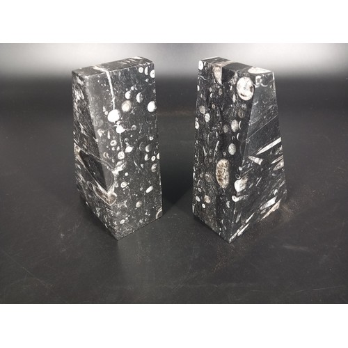 A pair of Orthecras Devonian marble fossil bookends - Moroccan ...