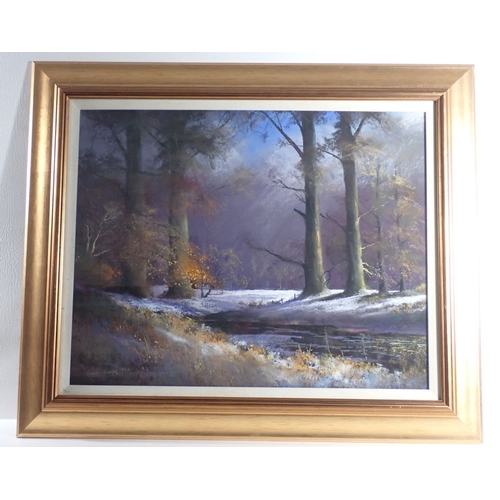 Paul Hardy - oil on board under glass night time woodland scene, image ...