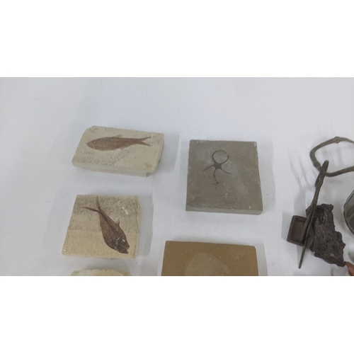 A collection of archaeological and metal detector finds to include a ...