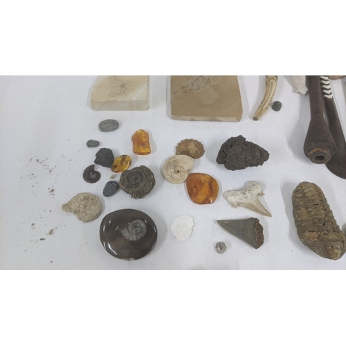 A collection of archaeological and metal detector finds to include a ...