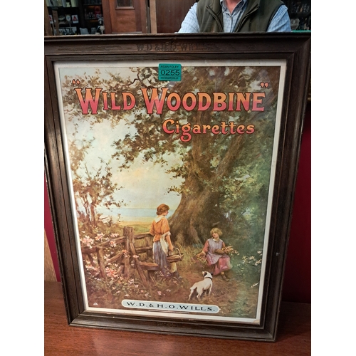 Wills Woodbines Advertising Print in Wills Frame (57cm x 44cm)