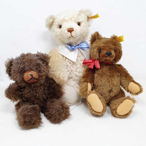 A modern Steiff blonde teddy bear, 55 cm