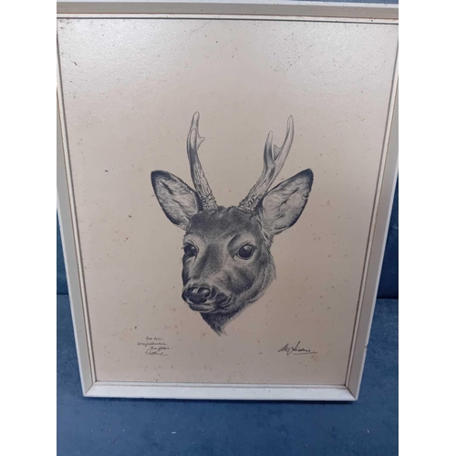 3 x Framed animal prints 1 Roe Derr 1 Badger and 1 Otter frame sizes ...