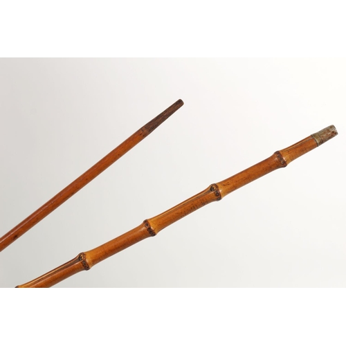2 EARLY 20TH-CENTURY SWAGGER STICKS