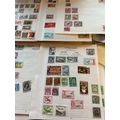 KGVI QEII mint and used Commonwealth stamps on two Hagner sheets and ...