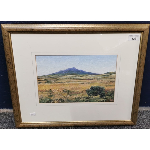 Robert Henry Harrison (contemporary Welsh), Carn LLidi near St David's ...