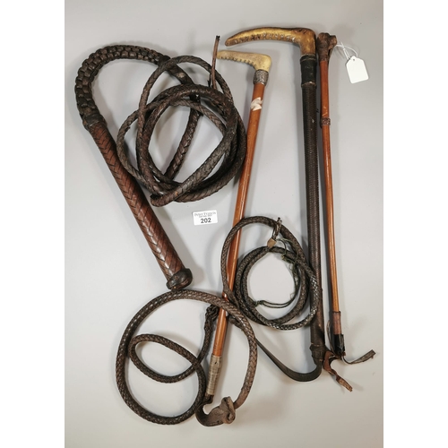 Collection of riding crop whips, two with bone handles, one with dog's ...