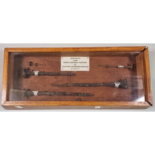 Cased montage of iron nails from Roman Legionary Fortress at Inchtuthil ...