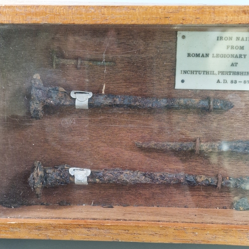 Cased montage of iron nails from Roman Legionary Fortress at Inchtuthil ...
