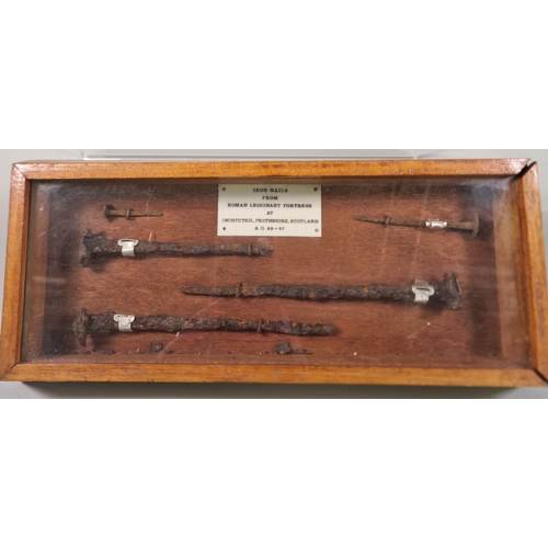 Cased montage of iron nails from Roman Legionary Fortress at Inchtuthil ...