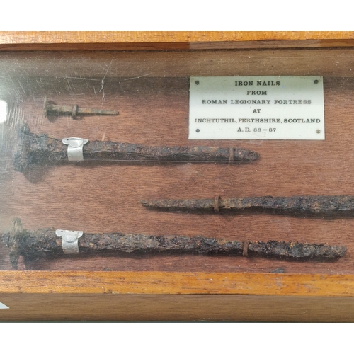 Cased montage of iron nails from Roman Legionary Fortress at Inchtuthil ...