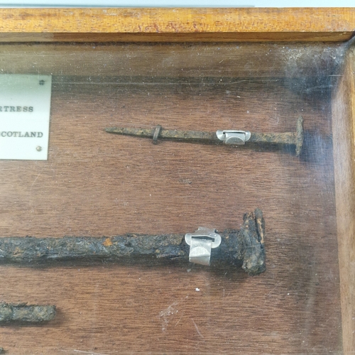 Cased montage of iron nails from Roman Legionary Fortress at Inchtuthil ...