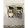 2 CASED TY WISE OWLS