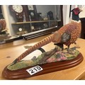 Border Fine Arts Male Pheasant - Autumn Glory B0488