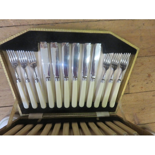Cased Set of Chrome Plated Fish Forks and Knives