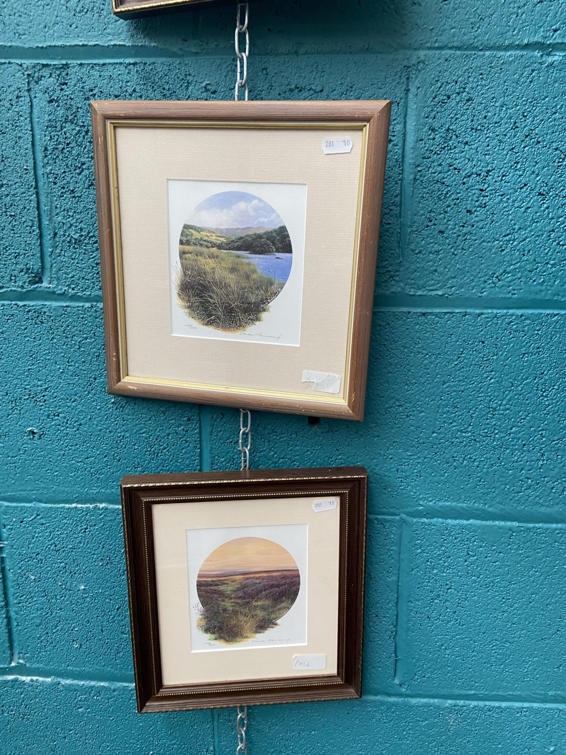 4 Framed and glazed signed Steven Townsend prints