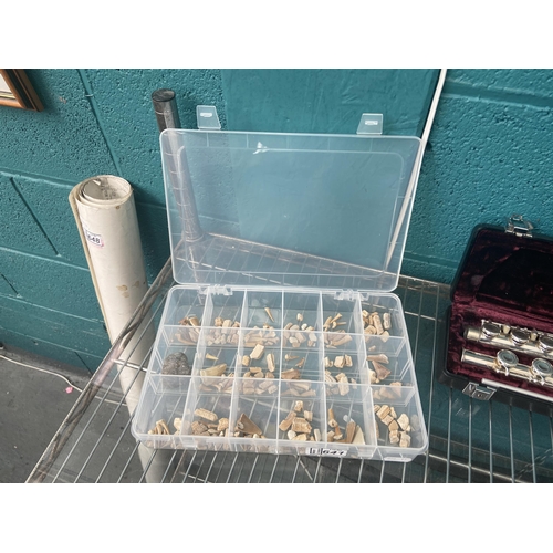 Box containing fossils