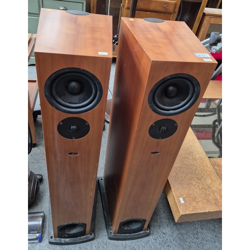 Pair of tall freestanding ESPEK speakers