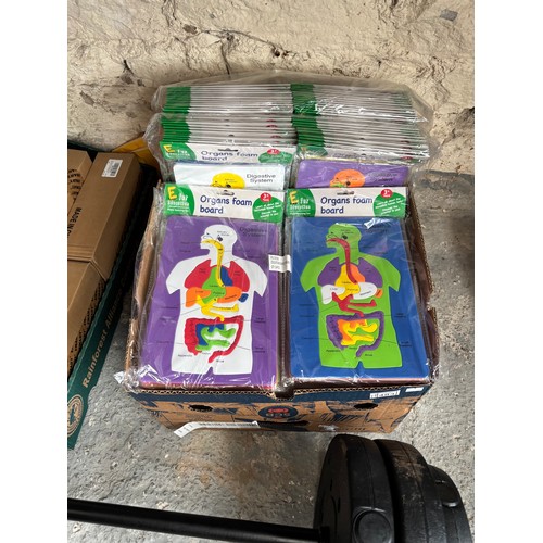 Box containing new educational Organs Foam Boards