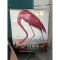 Large hardcover 'Birds' by Katrina Cook