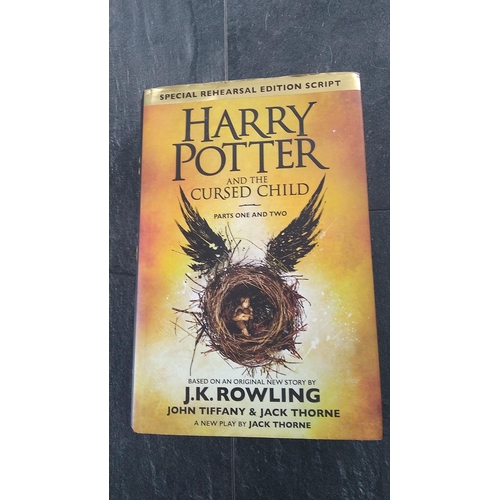 HARRY POTTER AND THE CURSED CHILD SPECIAL REHERSAL EDITION SCRIPT