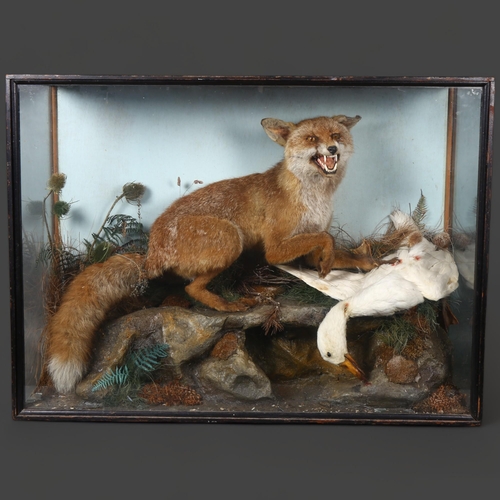Taxidermy - a Victorian Fox specimen - auctions & price archive