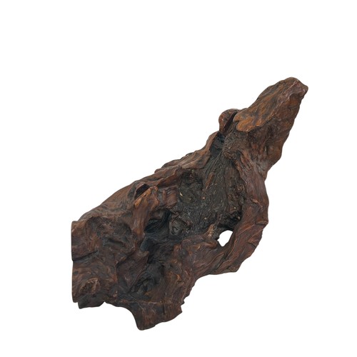 A large Japanese root wood carving. Overall length 74cm.
