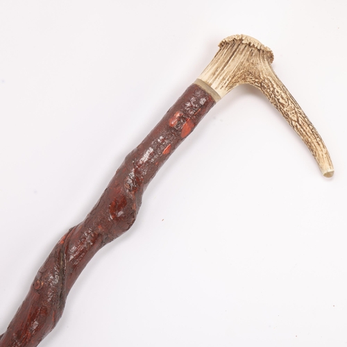 Carved stag antler country cane, the antler handle with cow horn washer ...
