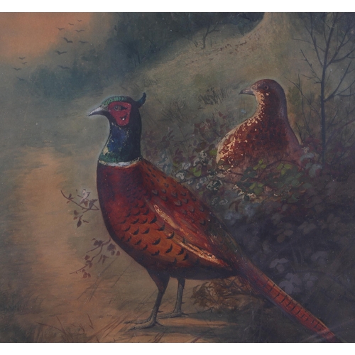 Anthony Connelly (1867-1953) - A Brace of Pheasants Within a Landscape ...