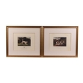 A 19th century coloured engraving - Pitch, A Terrier - 15 by 25cms ...