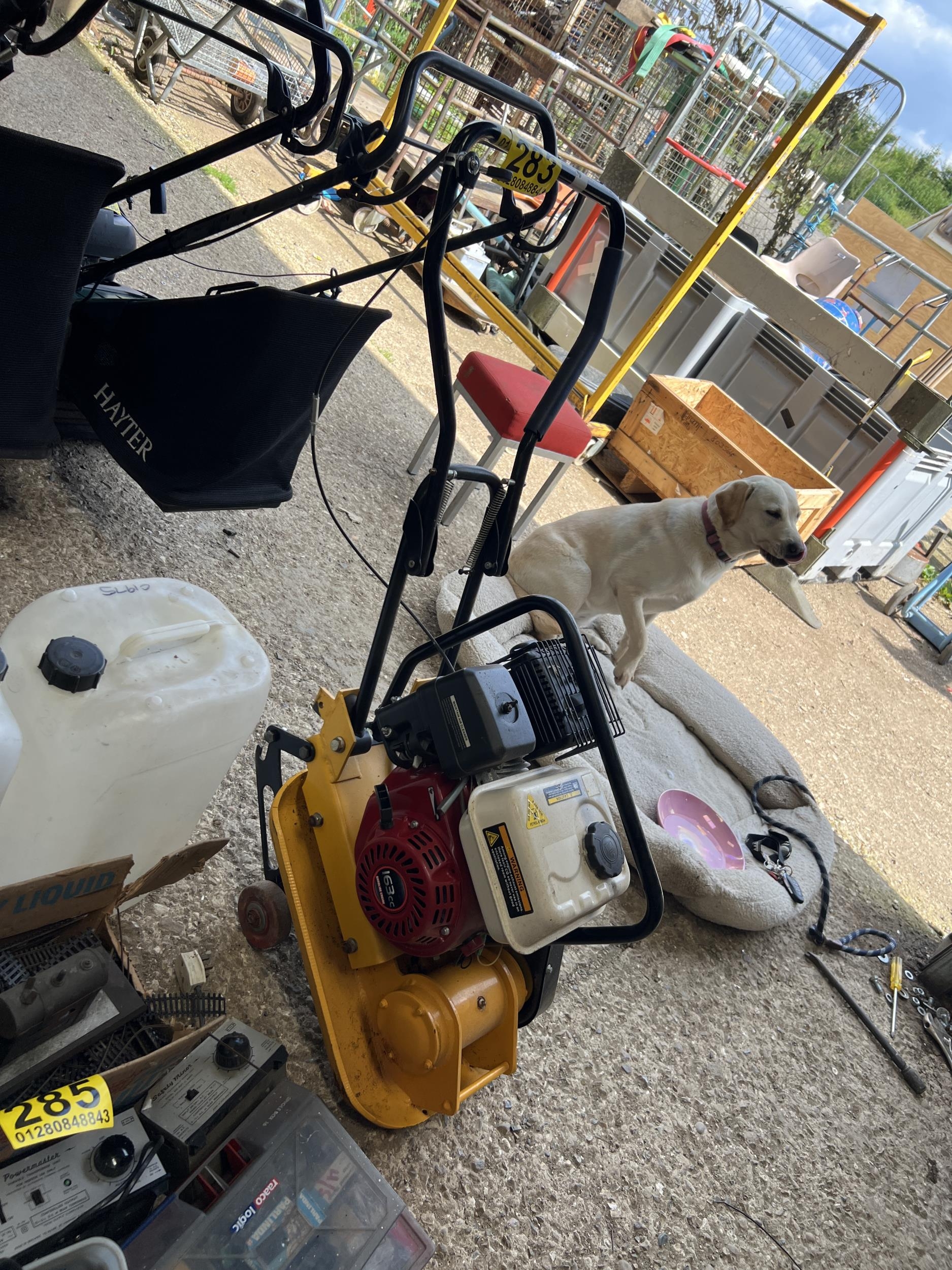 Petrol wacker plate