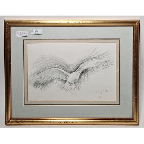 Angela Conner FRSS (b.1935) Print Limited edition print of bird in ...