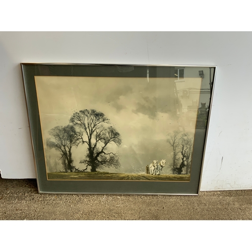 David Shepherd Print