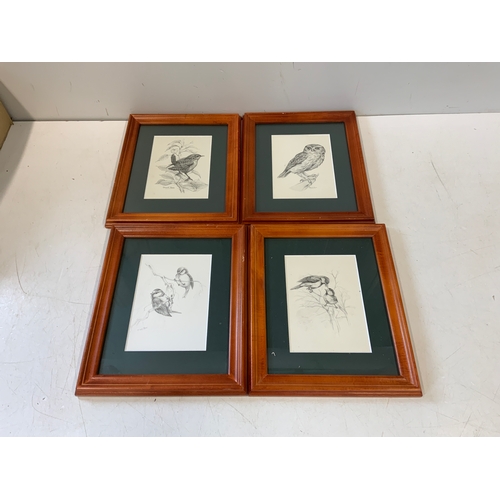 4x Stewart Bass Bird Pictures