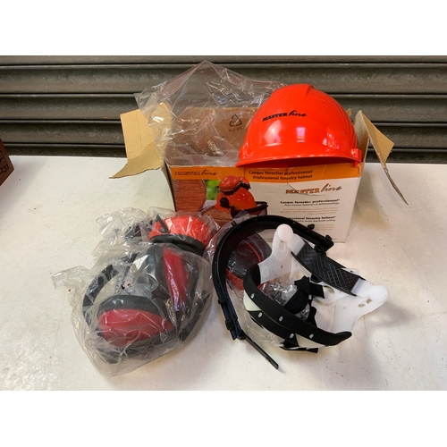 Professional Forestry Helmet