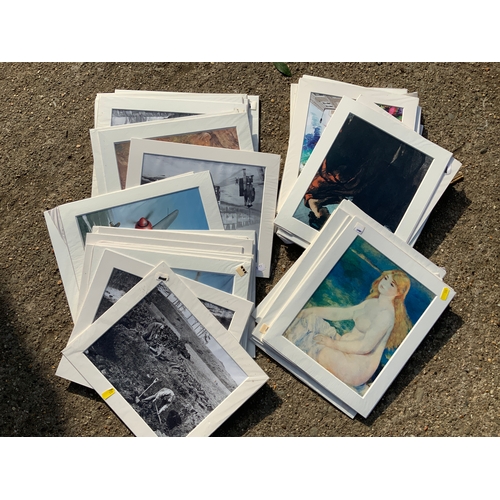 Mounted Prints