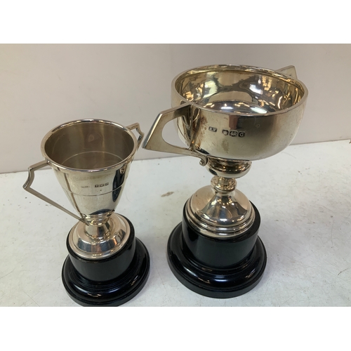 2x Silver Trophies