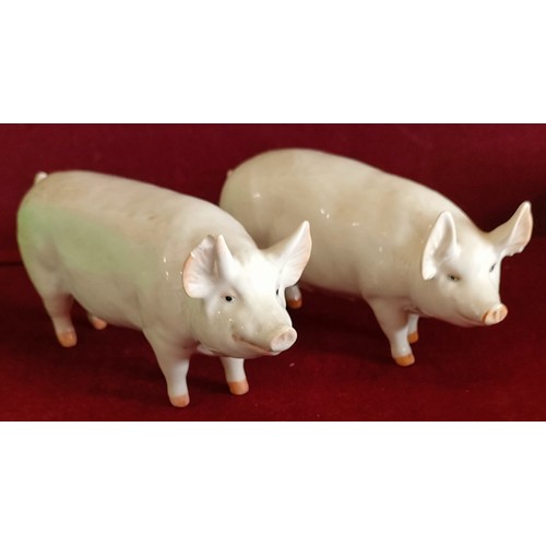 BESWICK GLAZED CERAMIC BOAR "CH. WALL CHAMPION BOY" PLUS BESWICK GLAZED ...