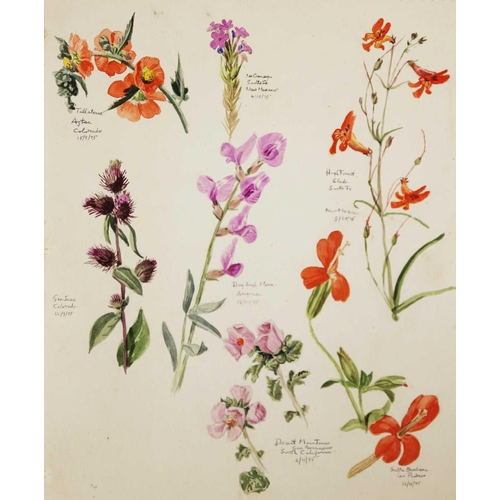 Tony WEARE (1912-1994) Four portfolios of botanical watercolour studies ...
