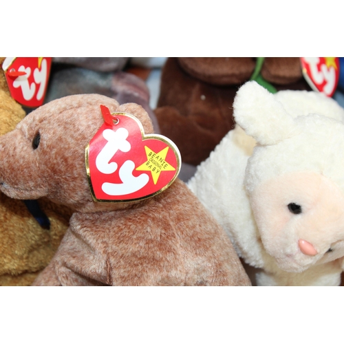 Quantity Of ty BEANI Babies Collection All Tagged Apart From One As ...