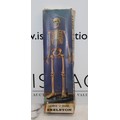 Boxed AIRFIX Skeleton 1/6th