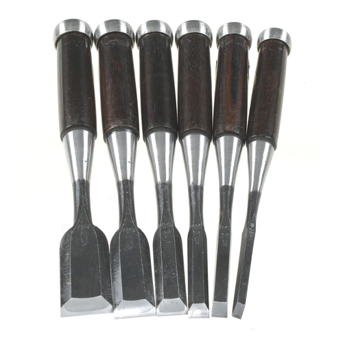 An unused set of 6 IYOROI Japanese chisels with ebony handles F