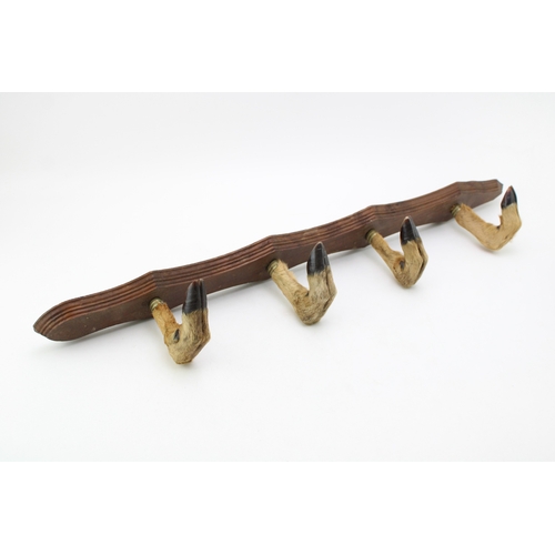 Deer hoof taxidermy coat / hat / gun rack, 70cm wide.