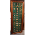 A framed collection of 42 Shipping Line Cruise Ship and Maritime Cap badges